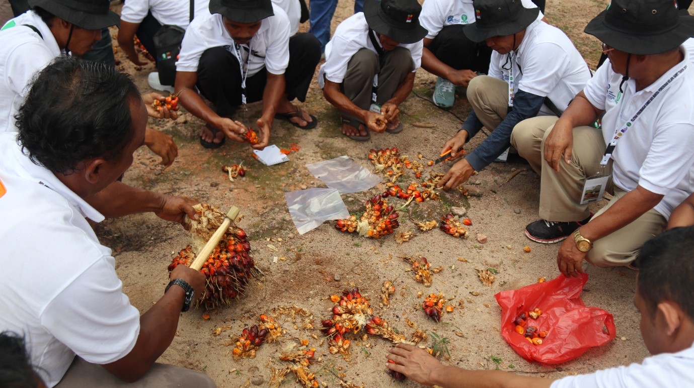 DIDUKUNG OLEH BPDP KS DAN DIREKTORAT JENDERAL PERKEBUNAN, PT RISET PERKEBUNAN NUSANTARA (RPN ...